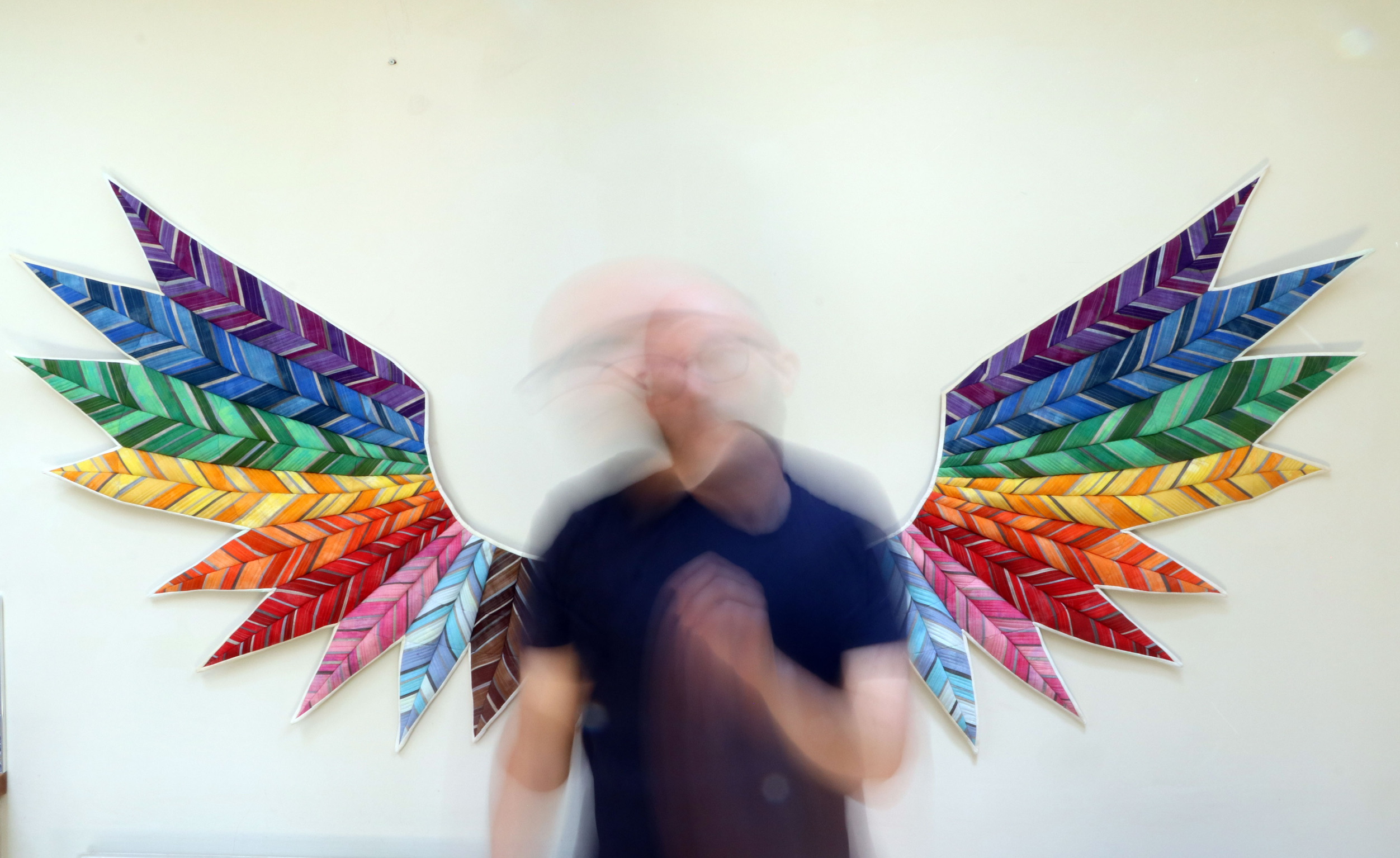 Wings of Pride by Matt Wilding - Bridport Arts